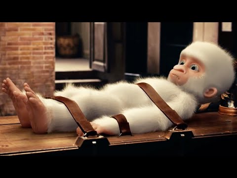 Film || Daanyeerkani Midabkiisa Waxey keentay in Keynta Laga Buriyo Si ...