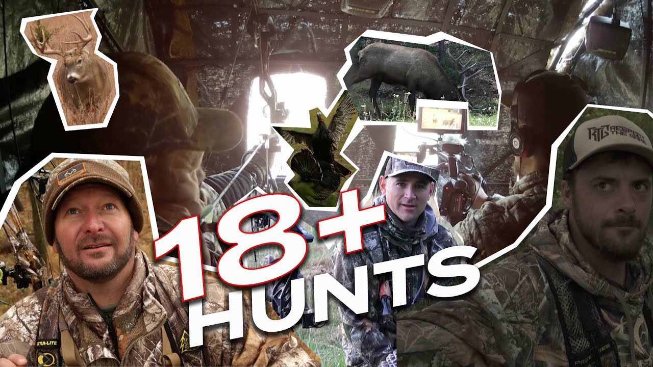 18 INCREDIBLE HUNTS!!!! ALL BOW HUNTS. - YouTube