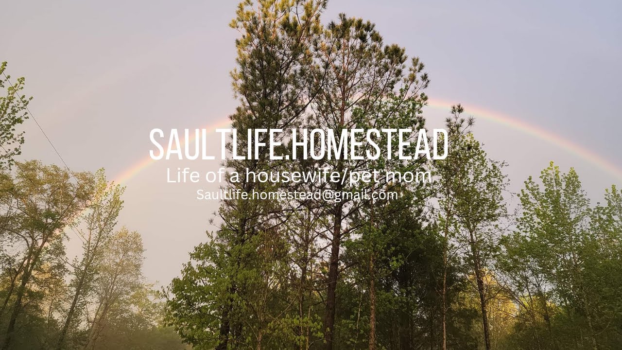 Walk around my little homestead - YouTube