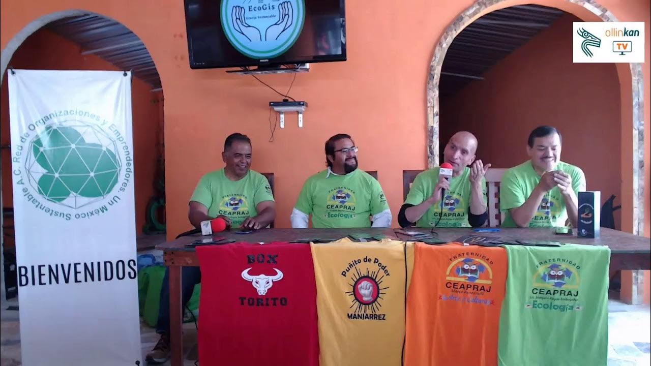 TRANSMISIÓN EN VIVO DESDE ECOGIS - YouTube