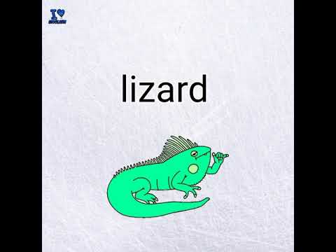 #englishwordpronounce How To Pronounce Lizard |Lizard - YouTube