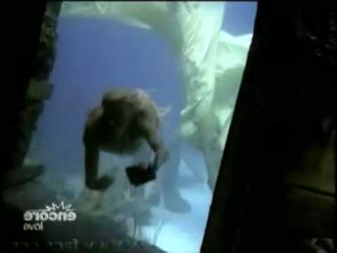 Splash (1984) - The Sea hag (fan scene) - YouTube