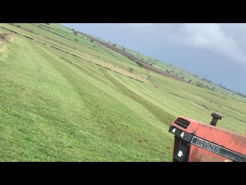 Chain harrowing on the 1494 - YouTube