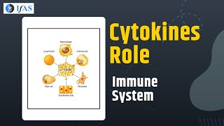 Cytokines Role | Immune System | IFAS | Doovi