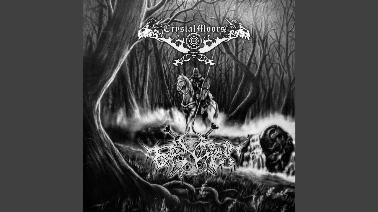 Samania Aracillum - YouTube