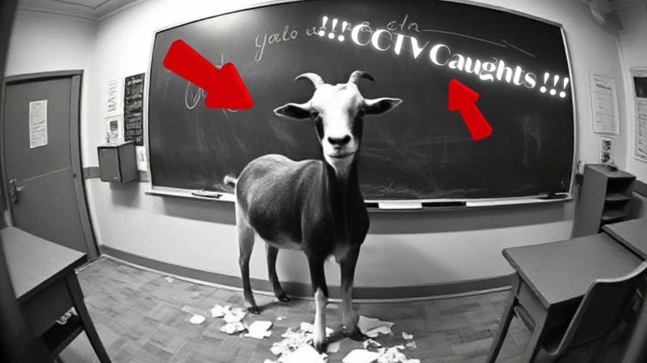 Animals Caught on CCTV | Surreal Surveillance Footage - YouTube