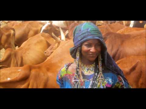 Sadou Bori - bacabaca mai kamar rubutu