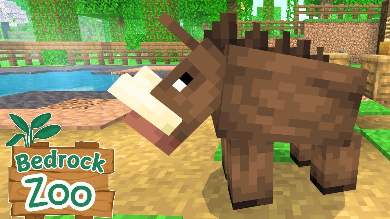 Starting a New Zoo 🐗 | Minecraft Bedrock Zoo with Add-Ons - YouTube