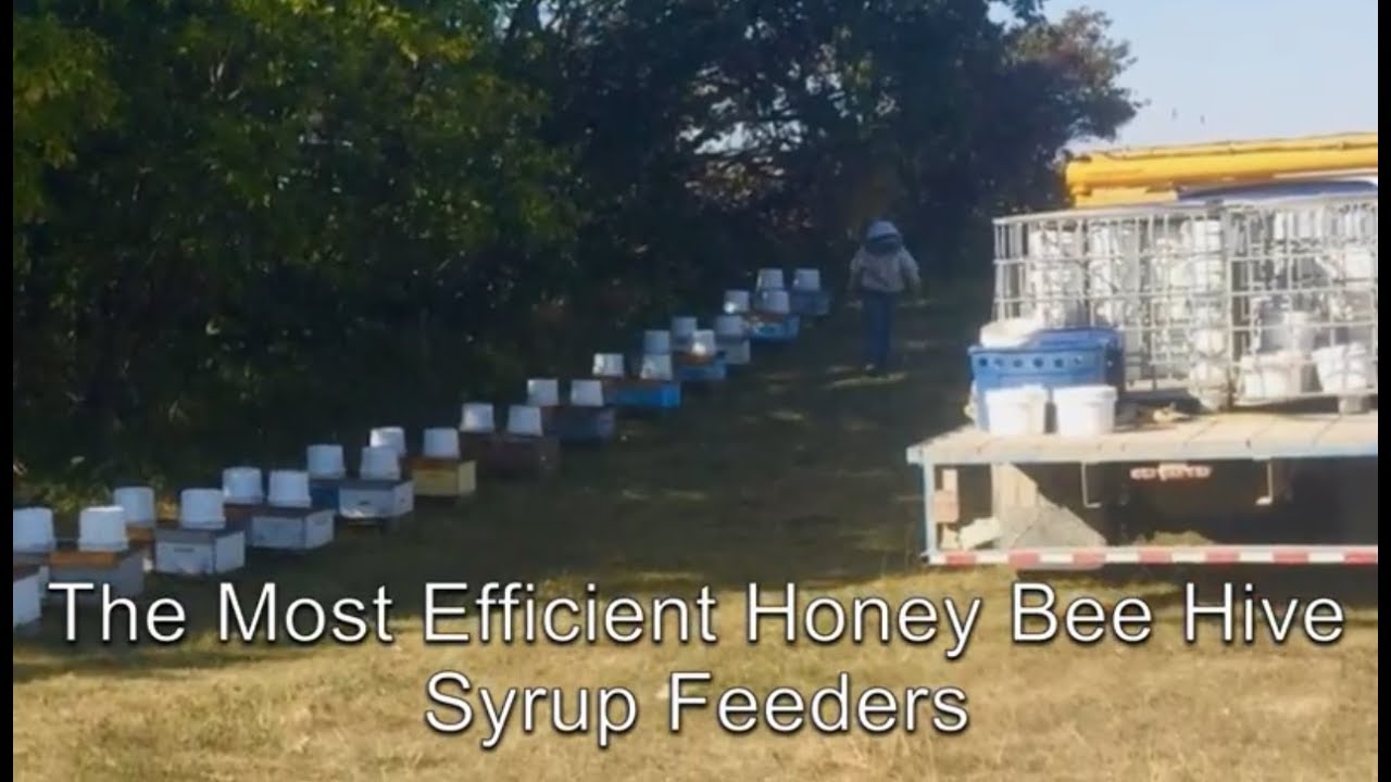 The Best Bee Hive Syrup Feeders - YouTube