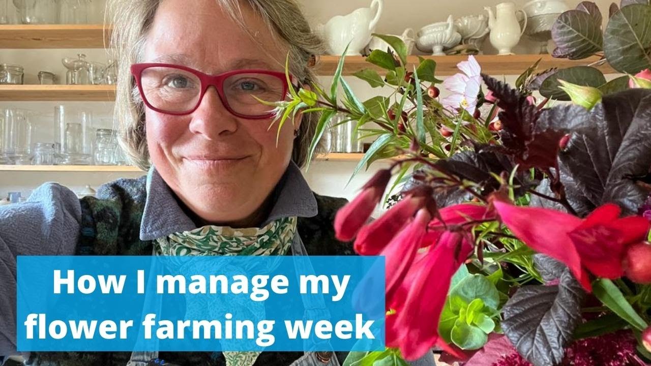 How I manage my flower farming week - YouTube