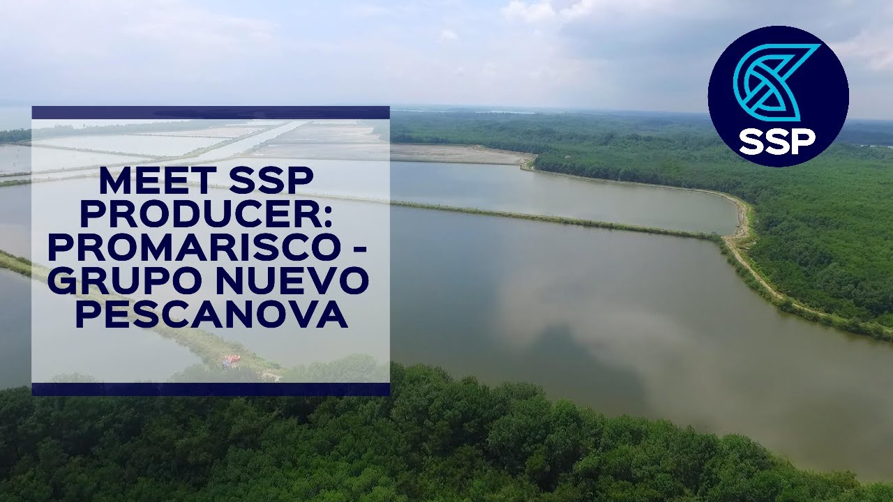 Meet SSP Producer: Carlos Sanchez from Promarisco - Grupo Nuevo ...