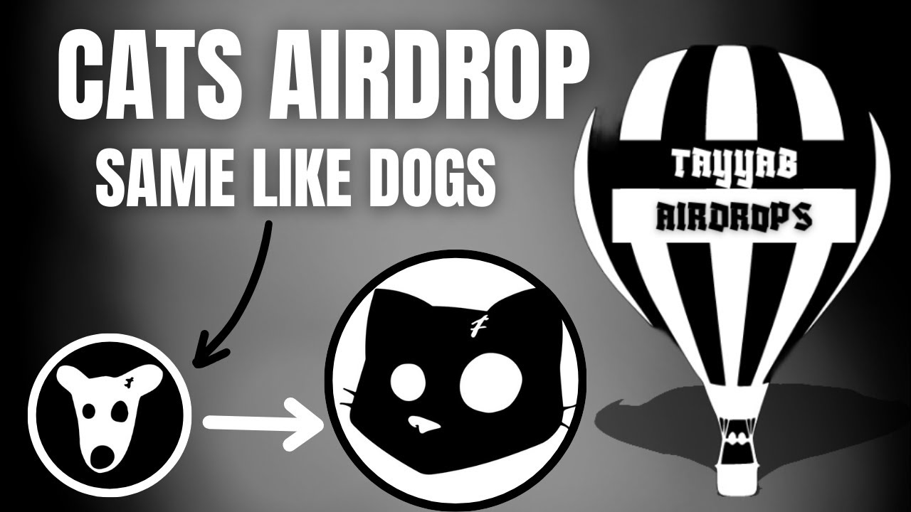 CATS New Airdrop Same Like DOGS | Real or Fake - YouTube