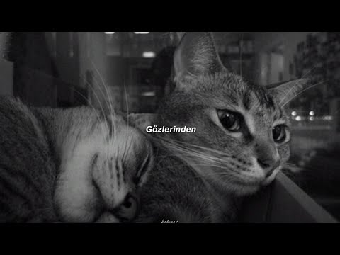 Didomido 'Bahsetmem Lazım' sözleri 
