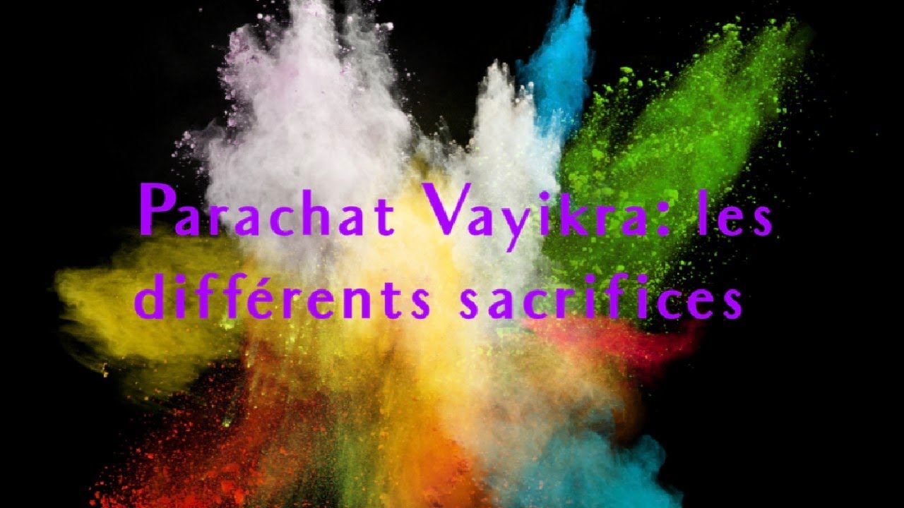 Parachat vayikra - YouTube