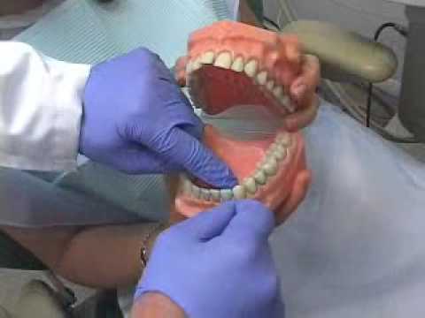 Floss Teeth and Gums How to Floss Properly Video - YouTube