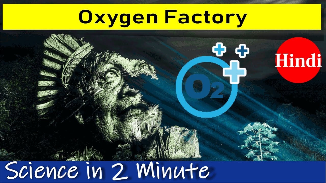 20% of Earth’s Oxygen Produced Here || Science in 2 Minutes - YouTube