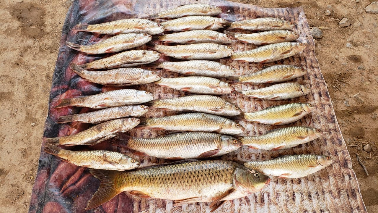 Fishing In Pakistan at Meg Skaggs blog