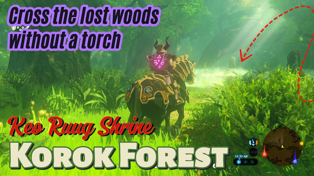 Korok Forest, Lost Woods, and Keo Ruug Shrine Guide: Zelda: Breath of ...