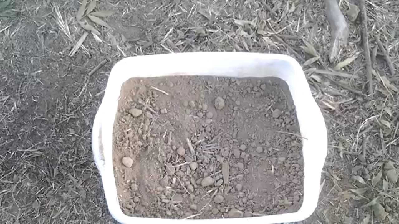 Gold bug pro, compadre, sovereign, testing chains and some masking ...