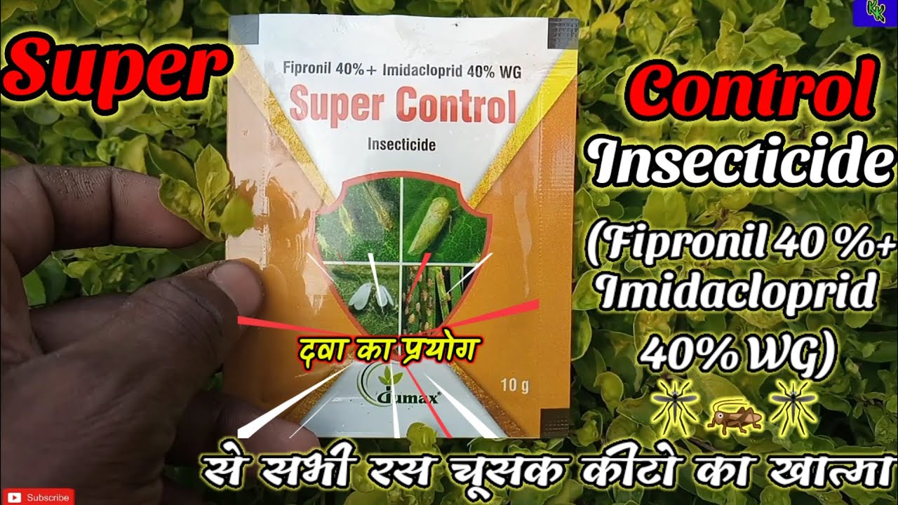 Super Control Insecticide Ka बैगन की फसल में छिड़काव 👩‍🌾🦗🦟🌱#farming # ...