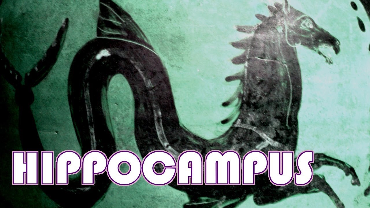 Hippocampus, A Giant SeaHorse? - Greek Mythology - YouTube