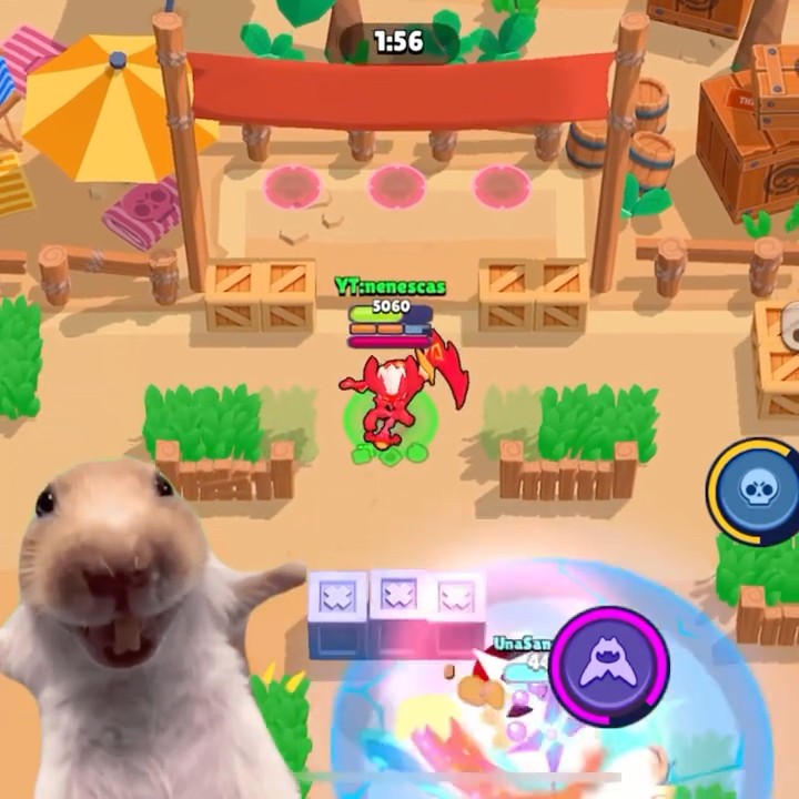 Pro mortis+Hamster🐭 ️ - YouTube