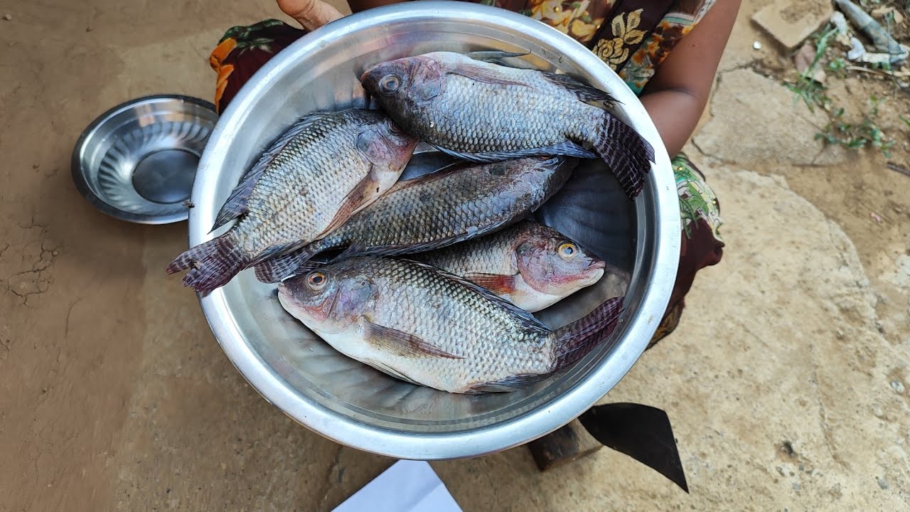 Bengali Style Telapia Fish Curry With Over Onion |Bengali Fish Curry ...