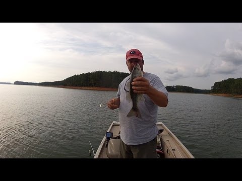 In-line spinners - a must in any tackle box. - YouTube