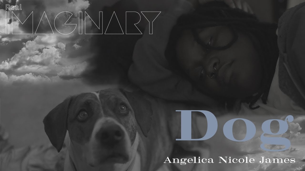 Dog | Short Film - YouTube