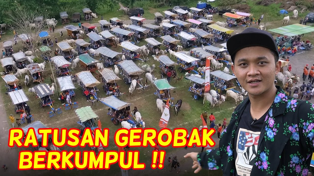 HEBOHH !! AJAK SI KLIWON KUMPUL BARENG RATUSAN GEROBAK SAPI LAIN - YouTube
