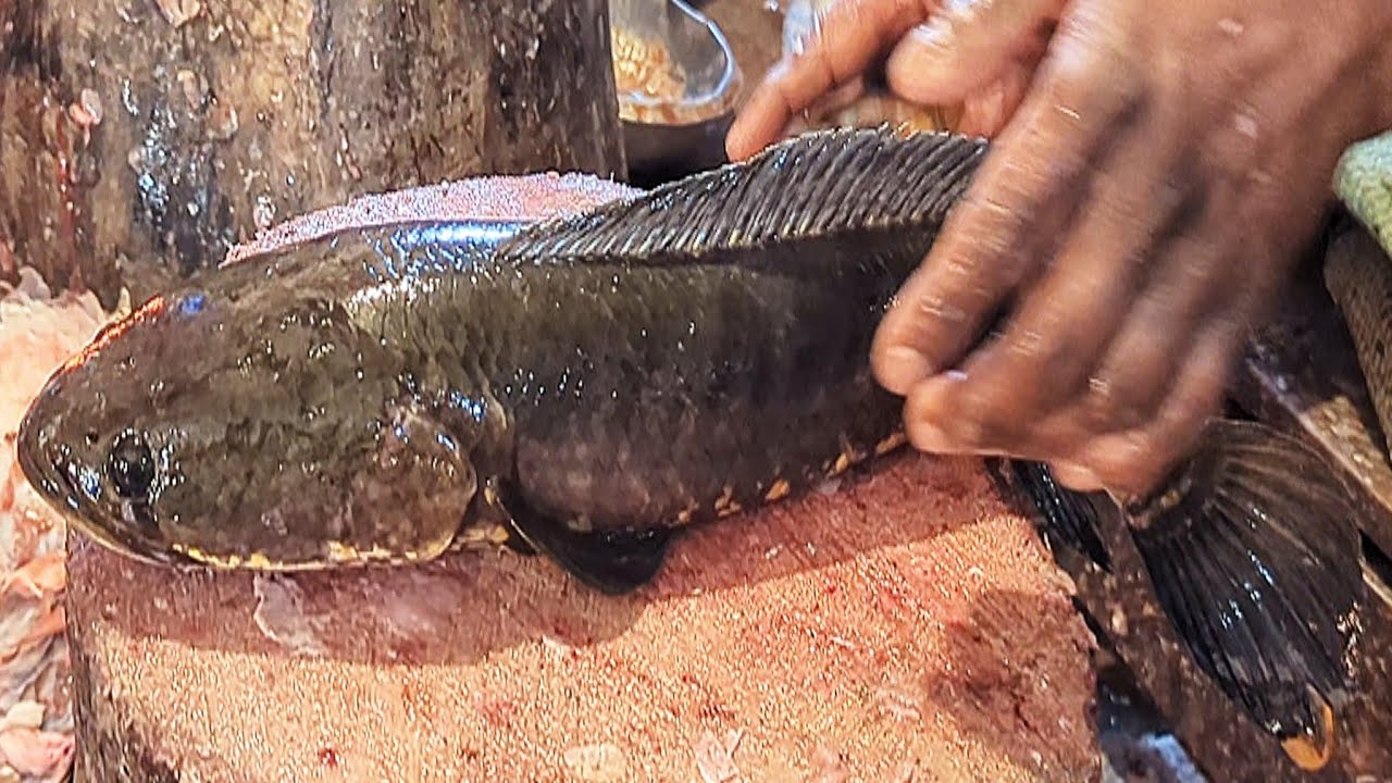 Amazing Snack Head Sole Fish Cutting Skills Live In Fish Market ...