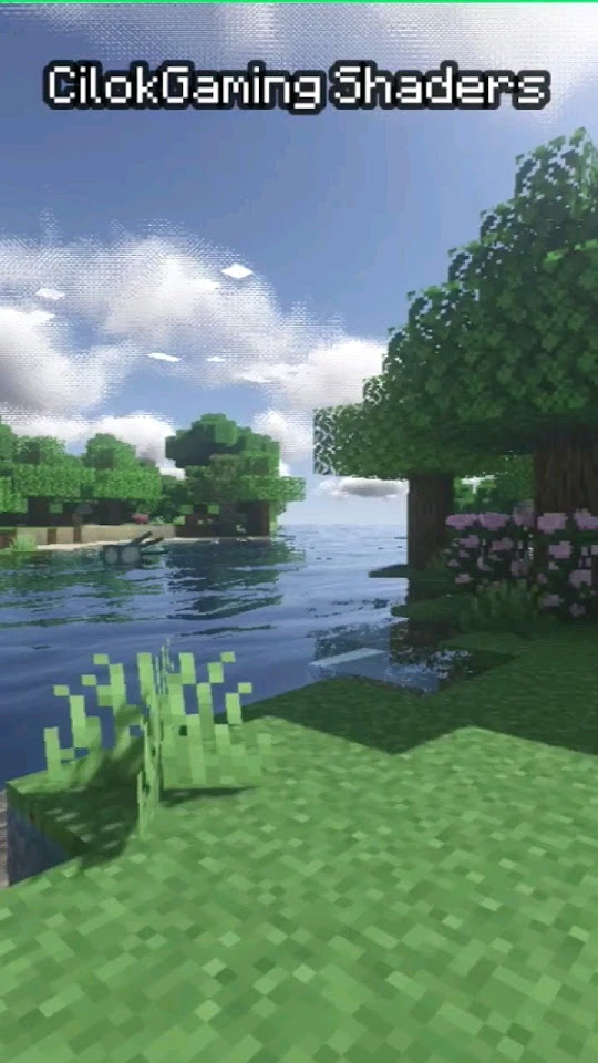 The BEST Realistic & Optimized Minecraft Shaders of 1.20.6 #shorts # ...