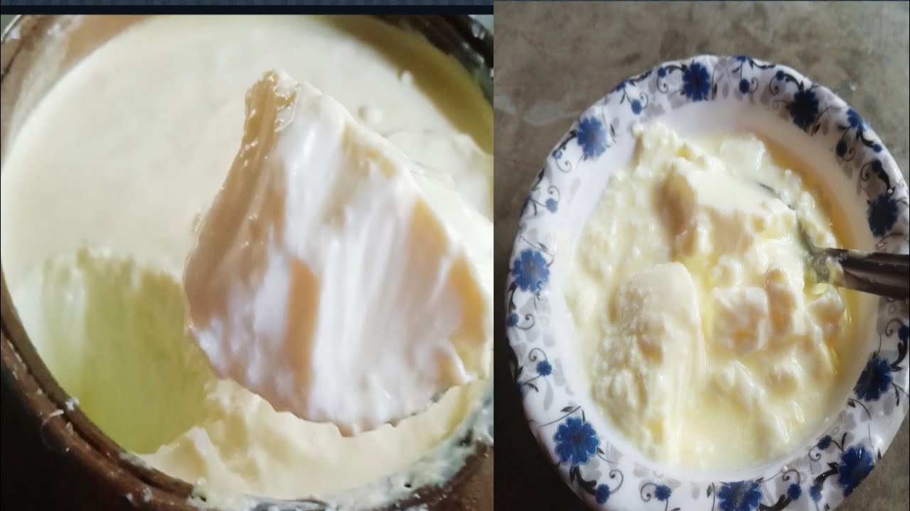 ভীষণ উপকারী টক দই এখন খুব সহজে বানিয়ে ফেলুন ।।Tok doi Recipe in ...