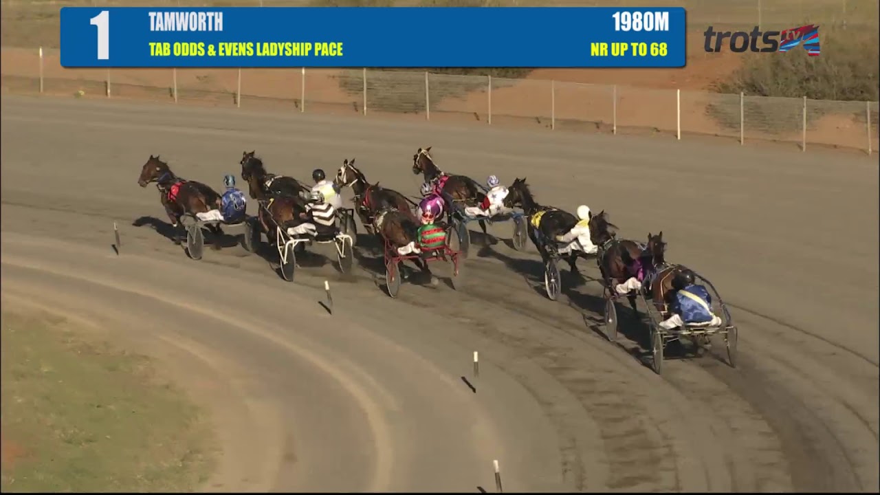 TAMWORTH - 15/11/2019 - Race 1 - TAB ODDS & EVENS LADYSHIP PACE - YouTube