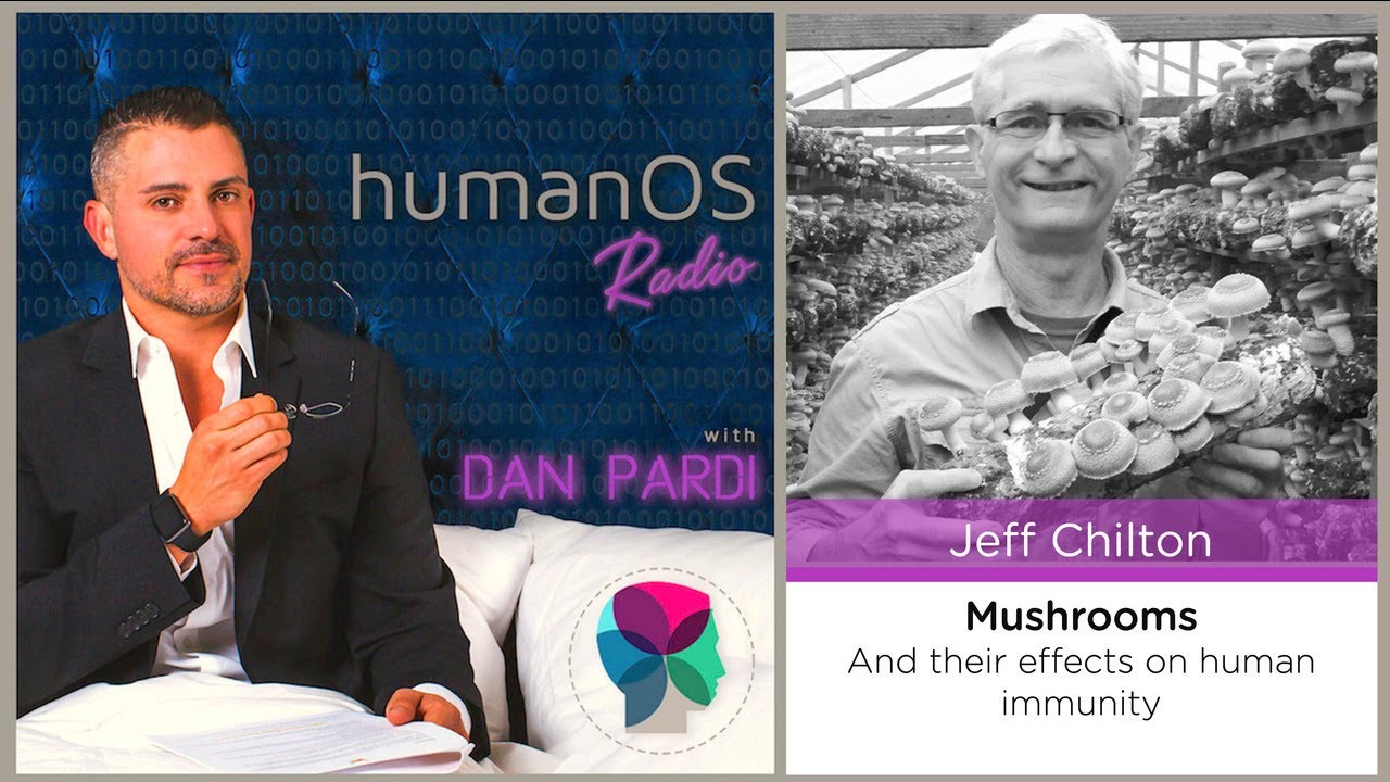 083. Immunity Effects of Edible and Medicinal Mushrooms. Podcast with ...