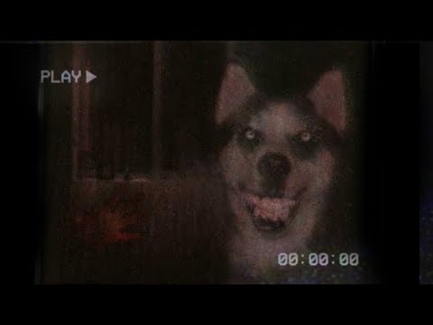 7 Most Disturbing 4Chan threads