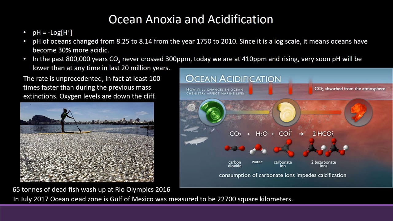 16) Ocean Anoxia and acidification - Atmospheric science - YouTube