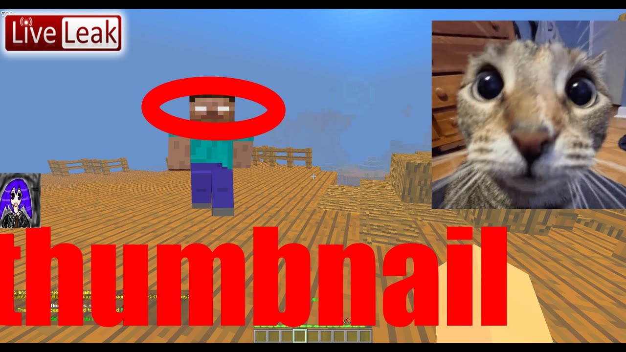 CAT WARFARE - YouTube