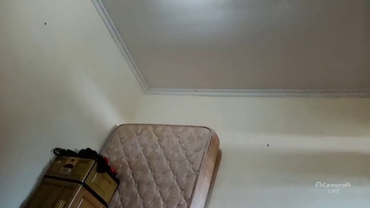 POK Official - YouTube