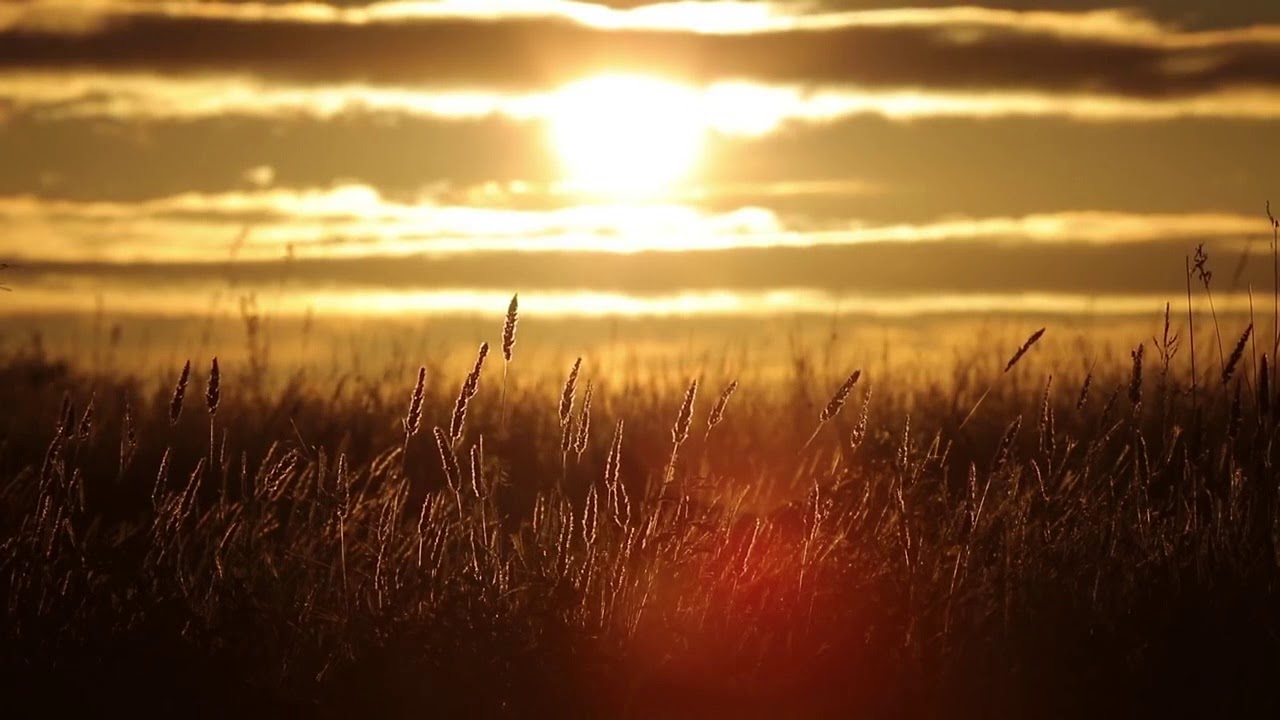 Genesis 04 - Listen to the Bible - YouTube