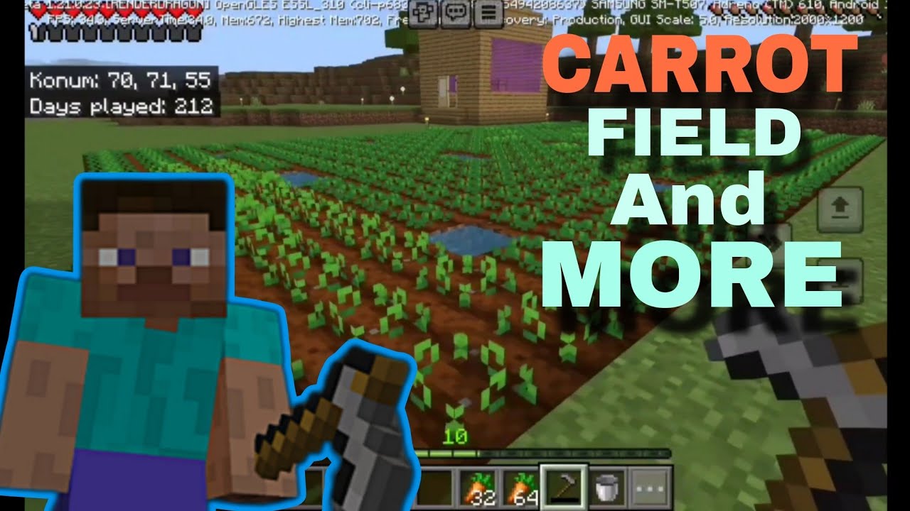 CARROT 🥕 GARDEN in MINECRAFT with STEVE - YouTube
