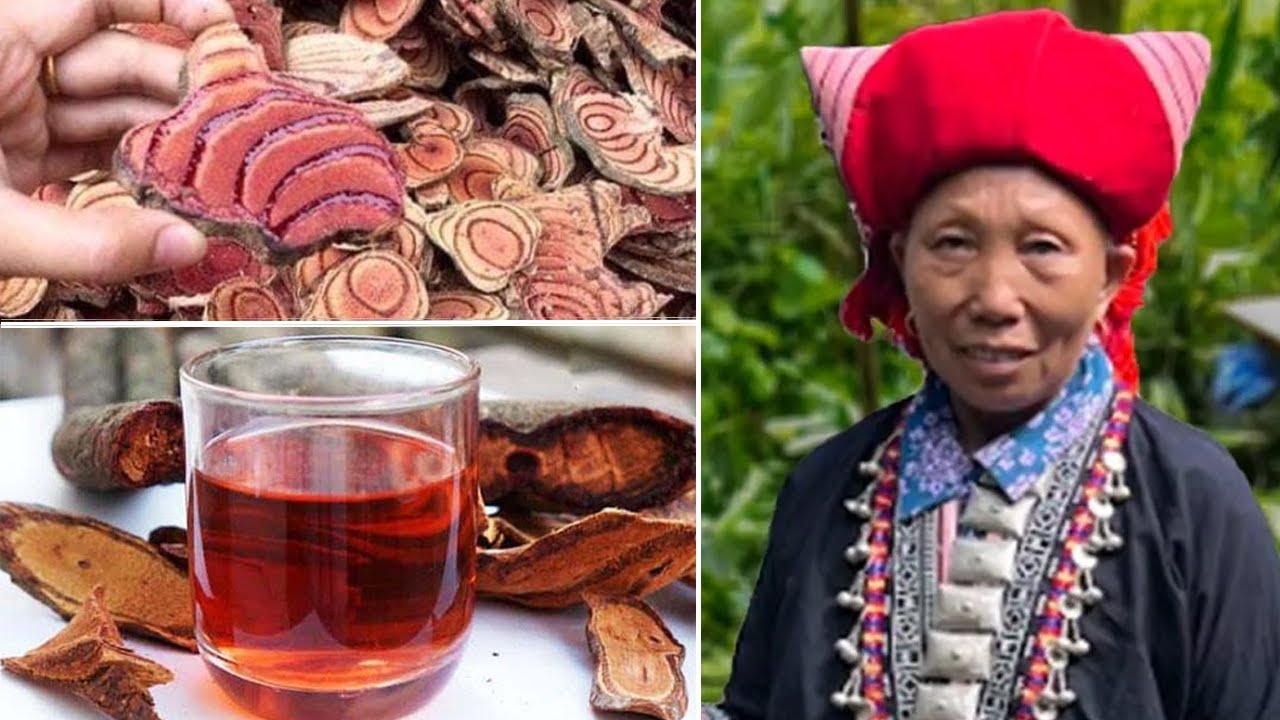 Blood Tea Secrets of the Red Dao: A Journey Through the Forest - YouTube