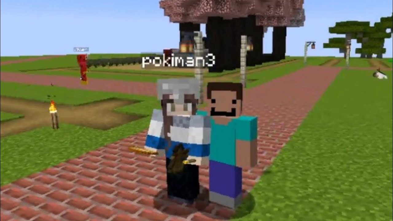 Poki Trolls Miyoung on OTV Minecraft Server - YouTube