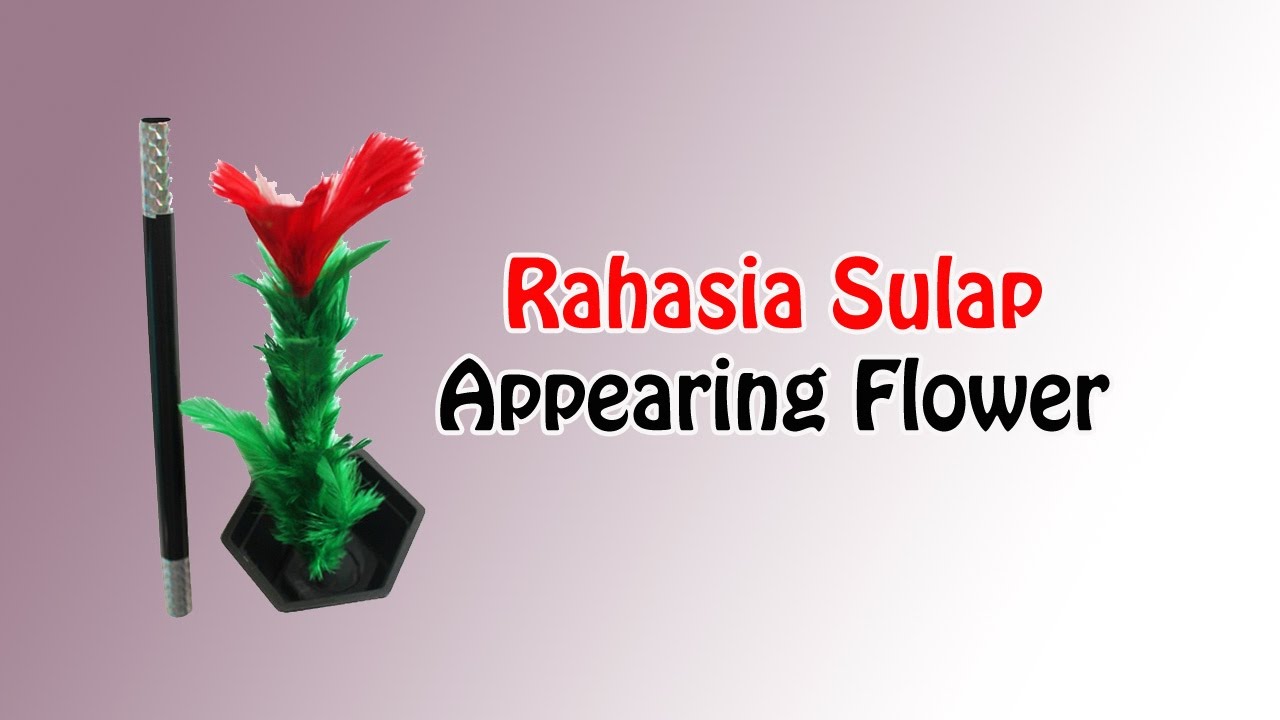 Rahasia Sulap Appearing Flower | Tutorial Magic | Tongkat Bunga | Dimen ...