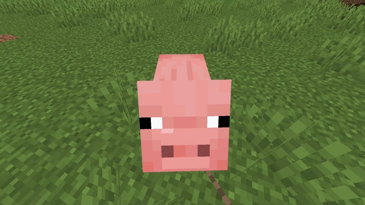 kidnapping-animals-in-minecraft-because-i-have-no-friends-youtube