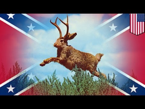 Got something to say about the Confederate flag? So does this Jackalope ...