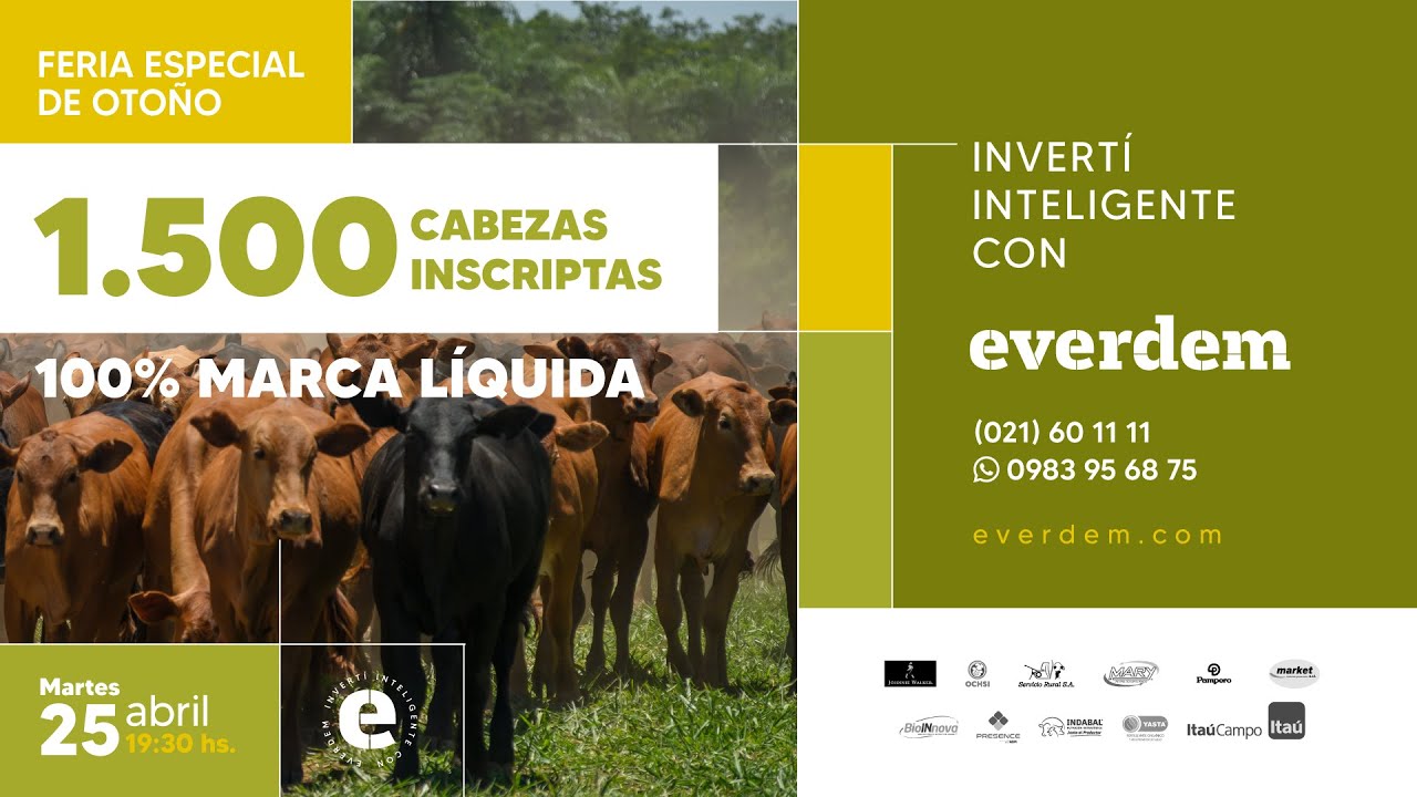 EN VIVO | Feria Especial de Otoño • Everdem - YouTube