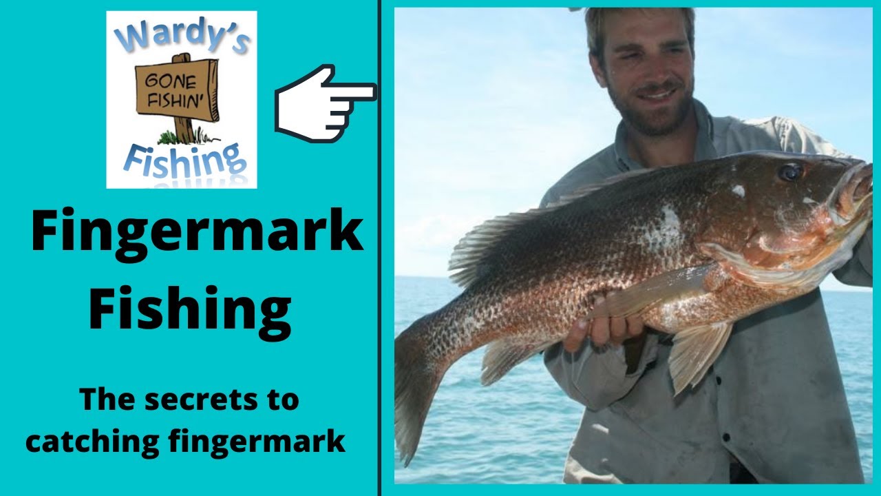 Fingermark Fishing. Secrets to catching fingermark - YouTube