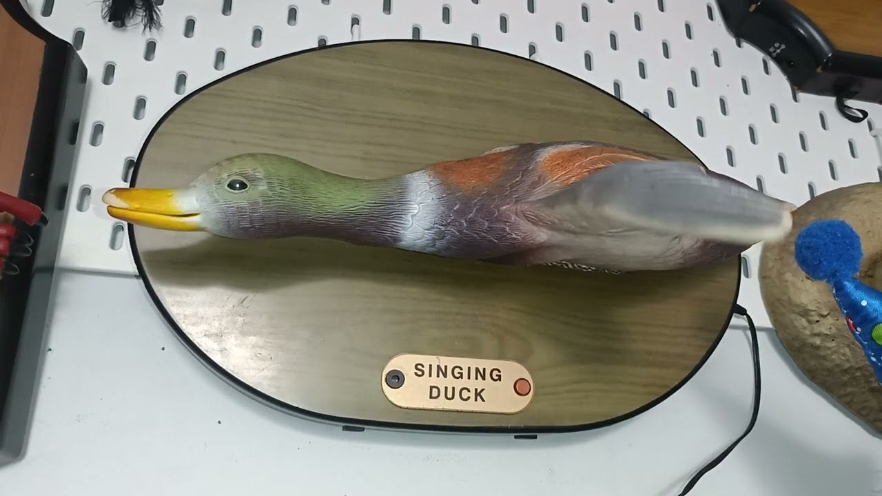 singing duck (After repair) 2 - YouTube