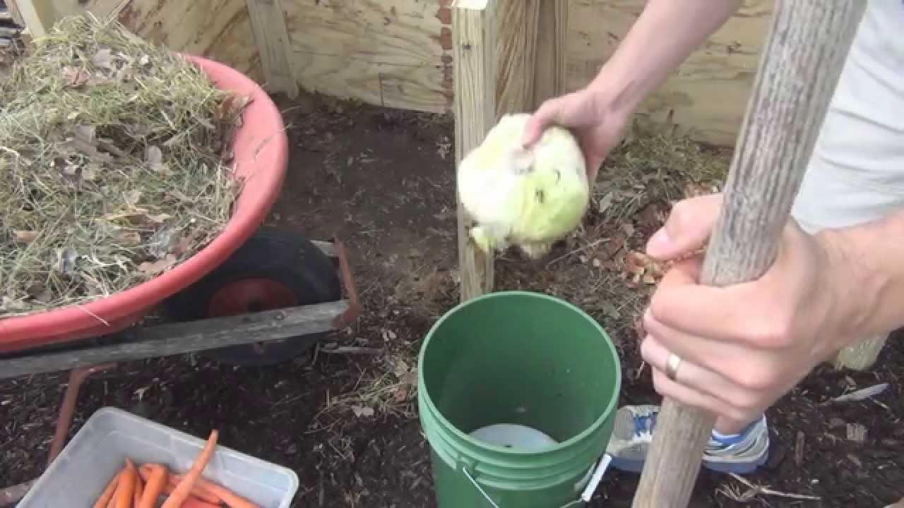The Compost Chopper VS Head of Cabbage - YouTube